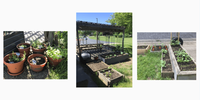 Experience KDL: Library Garden at the Spencer Twp. Branch | Kent ...