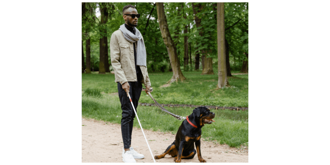 Breaking Barriers: September is National Guide Dog Month | Kent ...